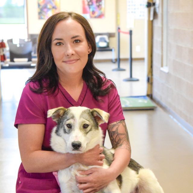 About Us - Cypress View Vet Clinic