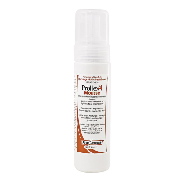 Proconcept ProHex 4 Mousse - Cypress View Vet Clinic