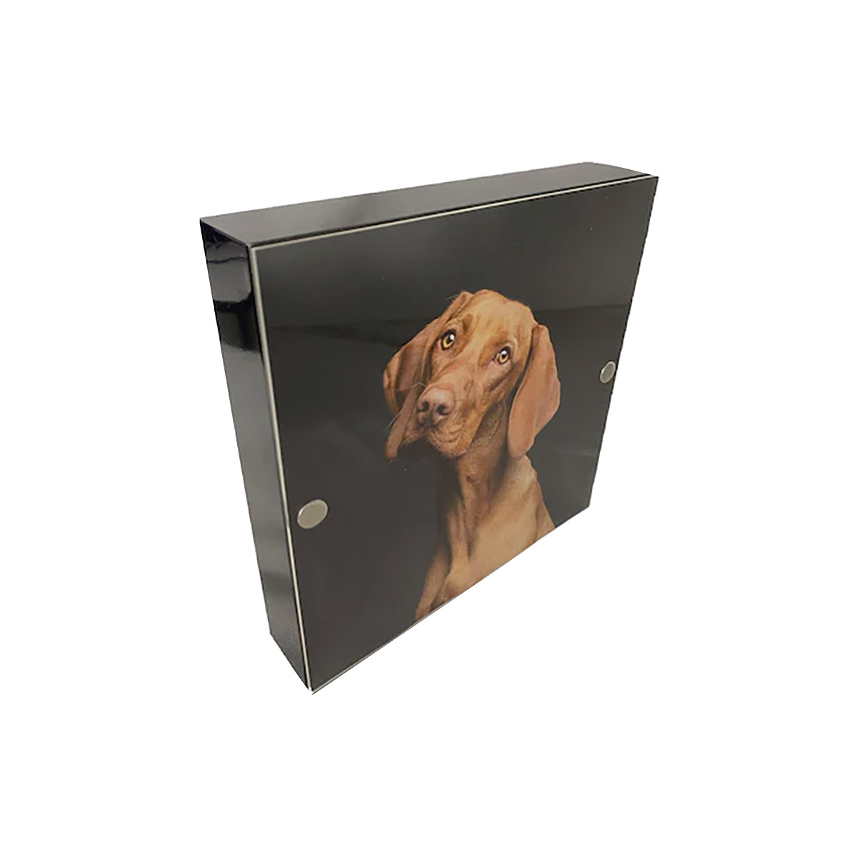 Quatro Photo Frame Urn - Black - Cypress View Vet Clinic