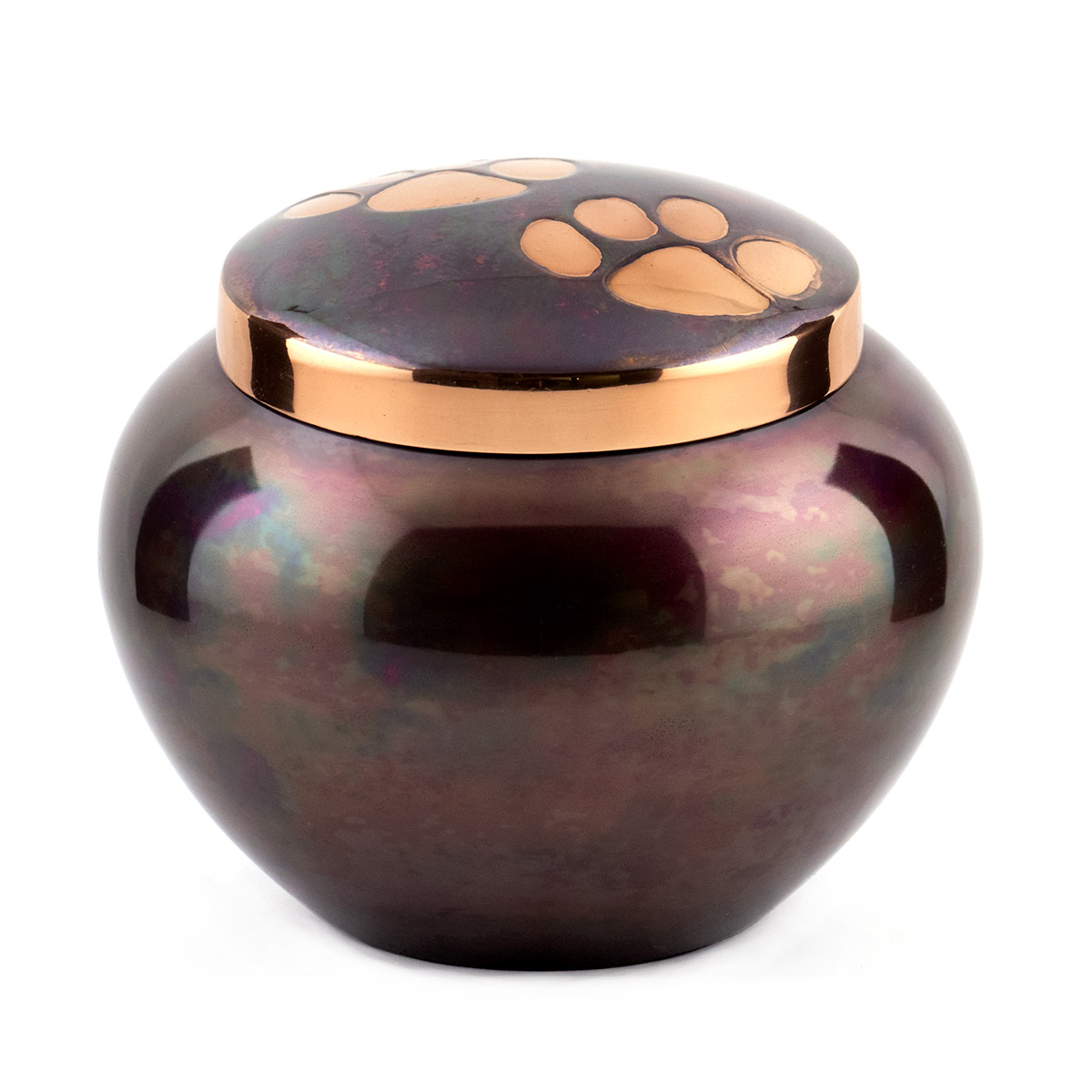 Raku/Bronze Double Paw Odyssey - Cypress View Vet Clinic